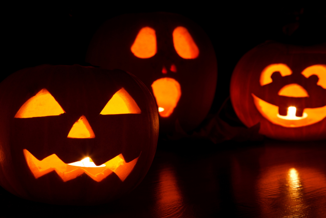 Pumpkin Fest Scottsdale Promo Code Green Vacation Deals pumpkin-fest-scottsdale-promo-code-green-vacation-deals